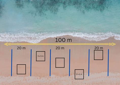 Frontiers Spatial Distribution And Composition Of Marine Litter On Sandy Beaches Along The