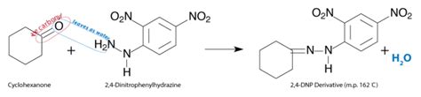 2 4 Dinitrophenylhydrazine Alchetron The Free Social Encyclopedia