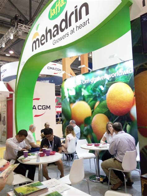 Mehadrin and Pagoda Seize Citrus Market Share Via Orri Mandarins ...