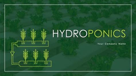 Hydroponics PowerPoint Presentation And Slides PPT Slide SlideTeam