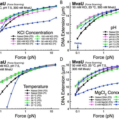 The Effect Of Variation In Kcl Concentration Ph Temperature And