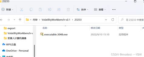 Volatility内存取证学习，美亚杯比赛版，密码注册表passmark Volatility Workbench Csdn博客