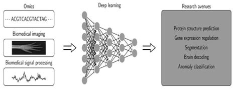 Implementing Deep Learning In Bioinformatics Download Scientific Diagram