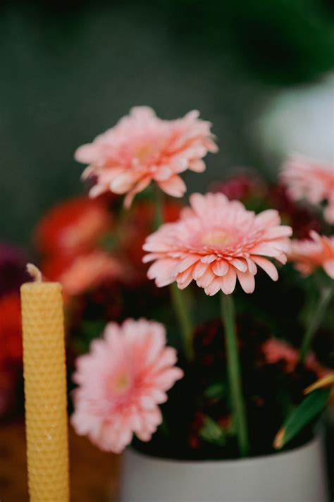 가지 거베라 거실 장식 고요한 공장 전시 꽃 꽃꽂이 나무 그릇 나뭇결 노란 꽃 독창성 독특한 꽃병 디자인 강조 목조 테이블 미니멀리스트 방의