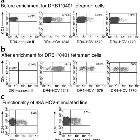 Analysis Of Mhc Class Ii Tetramer Staining In Different Patient Groups Download Table