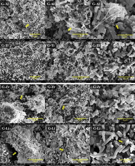 Sem Micrographs Of Samples Functionalized By The Grafting Approach G Download Scientific