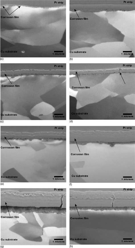 Fib Generated Cross Sections Of Cu Exposed To Class Iii Mfg For ͑ A ͒ Download Scientific