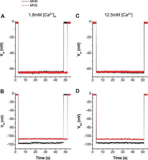 Resting Membrane Potential Vm And Intracellular Ca 2 Concentration