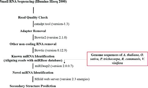 Schematic Representation Of Novel Mirna Prediction Download