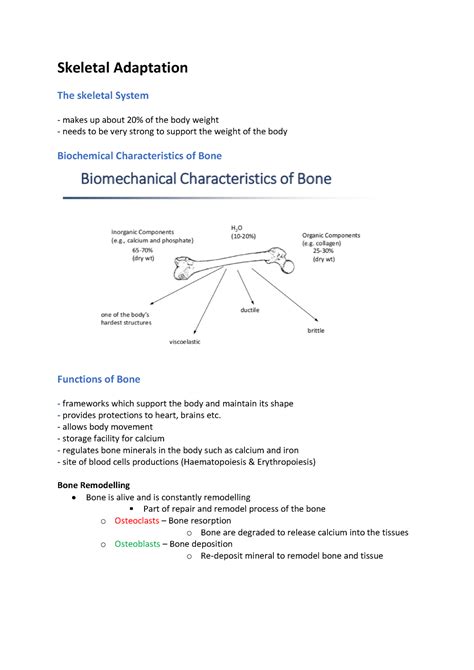 Lecture Notes Warning TT Undefined Function Warning TT Undefined Function