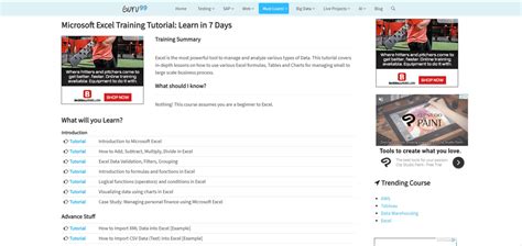 Websites To Learn MS Excel Lessons Online Free And Paid CMUSE