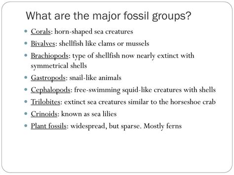 PPT Fossils And Time PowerPoint Presentation Free Download ID 2248905