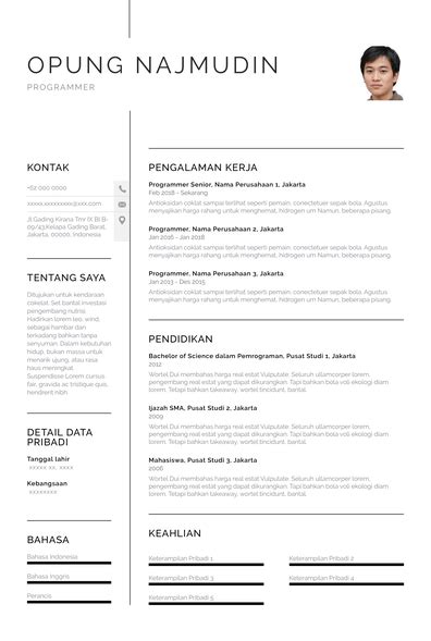 Contoh CV Programmer Panduan Lengkap Menulis Resume Menarik