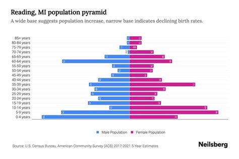 Reading Mi Population By Age 2023 Reading Mi Age Demographics Neilsberg