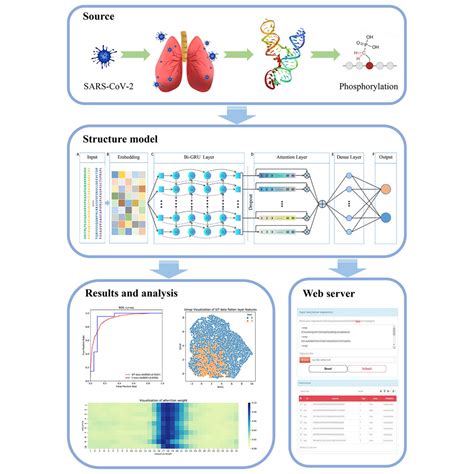 Ips Gruatt An Attention Based Bidirectional Gated Recurrent Unit Network For Predicting