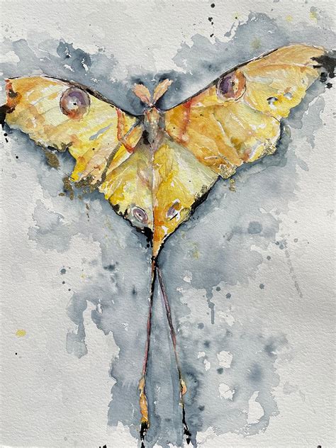 Actias Luna Yellow Luna Moth Michis World Of Chaos Art