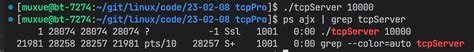 【linux】实现守护进程 以tcpserver为例 Csdn博客