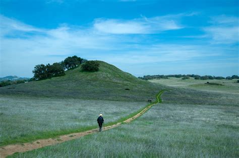 혼자 걷는 하이킹 사진갤러리 카메라 동서남북