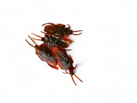 Premium Ai Image A Cockroach Toy With A Red Face And A Red Band