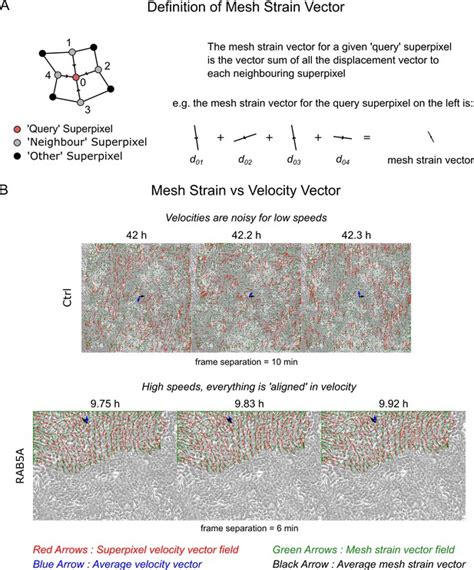 figures and data in motion sensing superpixels moses is a systematic
