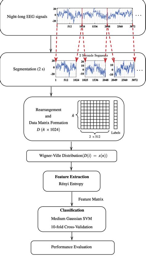 Figure 1 From Automated Phase Classification In Cyclic Alternating