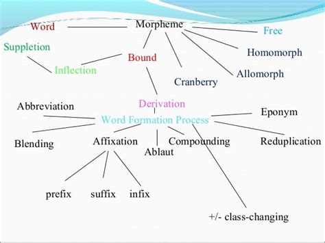 Introduction To Morphology
