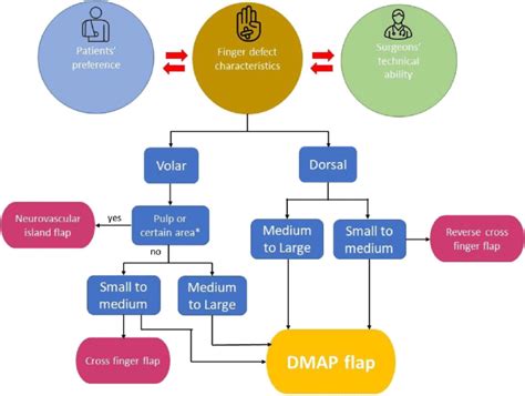The Consideration Of Local Flap Selection In Finger Soft Tissue Download Scientific Diagram