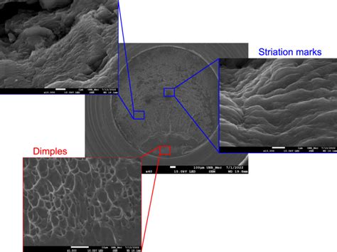 Microscopic Features Observed On The Fracture Surface Of The V Notched