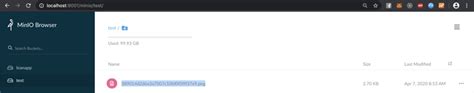 fileupload with nestjs using minio dev community