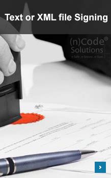 ICEGATE Common Signer Utility