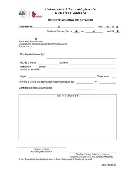 Formato De Reporte Mensual De Actividades