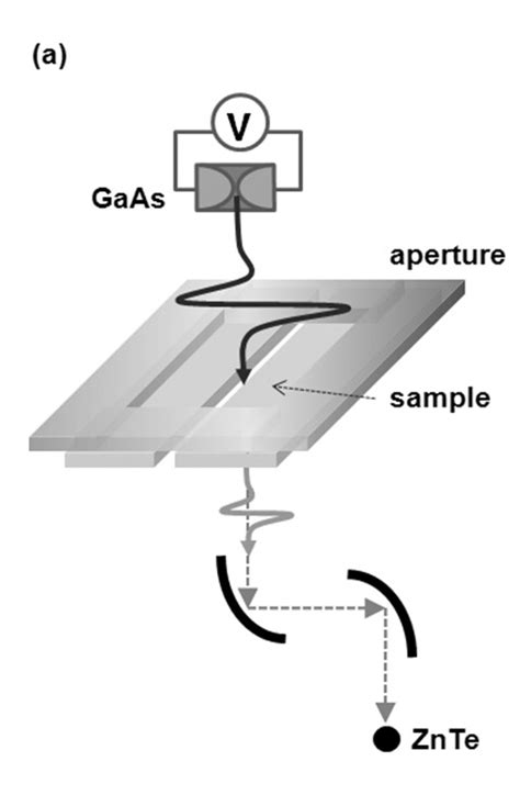 Transmittance Through Nanogaps Is Measured By Thz Time Domain
