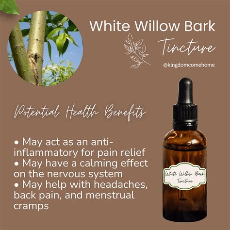 White Willow Bark Tincture Kingdom Come Home