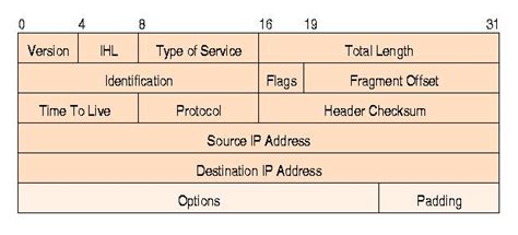 happiness is a choice structure of a ipv4 packet