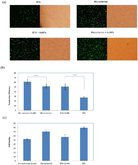 Figure 1 From Gold Nanoparticles Enhanced Electroporation For Mammalian Cell Transfection