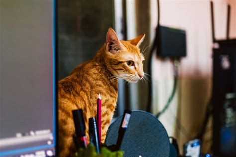 Til React Native Basics — 4 Ori Medium