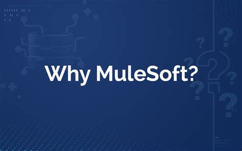 Why Mulesoft Infoview Systems Inc