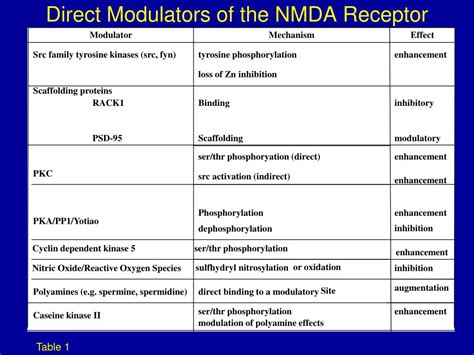 Ppt Chapter 8 The Nmda Receptor Powerpoint Presentation Free