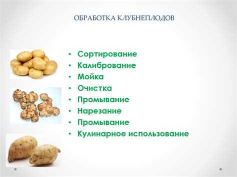 Приготовление и подготовка к реализации полуфабрикатов из овощей