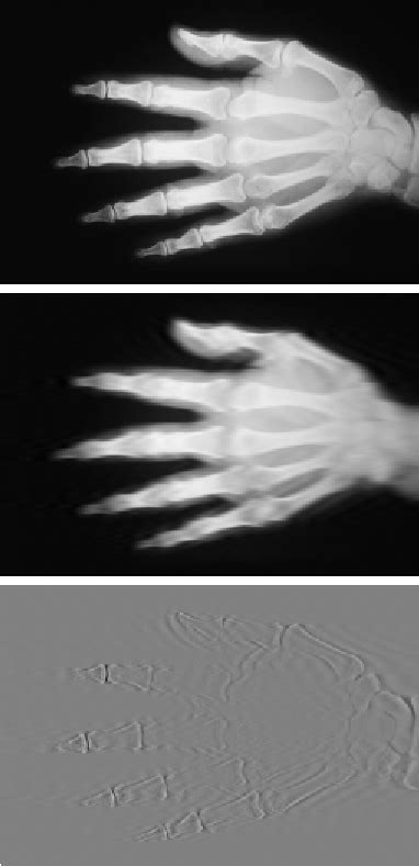 Difference Image By 20 Hermite Functions 50 Intensity Download Scientific Diagram