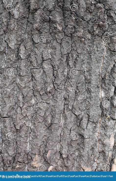 Mottled Old Tree Bark Background Stock Photo Image Of Composition Blue 231583830