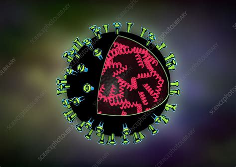 Virus Particle Illustration Stock Image C058 4255 Science Photo