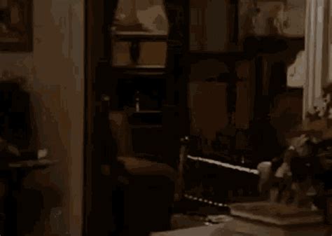 Passions Timmy  Passions Timmy Surrender Discover And Share S