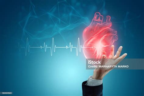 손에 인간 심장 홀로그램과 심장 검사람 라인 이식 기부 장기 기부 자선 건강의 개념 심장에 대한 스톡 사진 및 기타 이미지 Istock