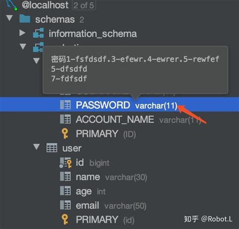 Datagrip如何显示字段备注？ 知乎