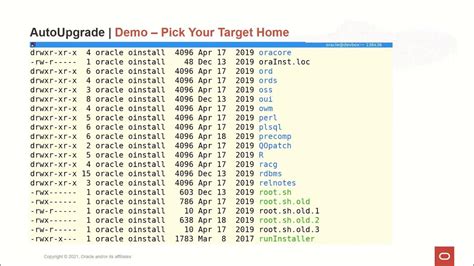 Autoupgrade Demos Upgrade To Oracle Database 19c Youtube