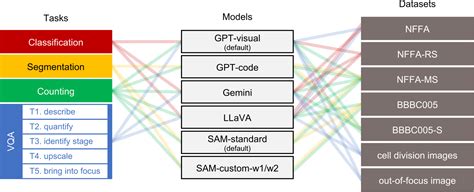 Vision Language Models Are Blind Ai Research Paper Details
