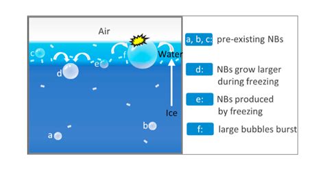 Evolution Of Bulk Nanobubbles Under Different Freezing Conditions Langmuir