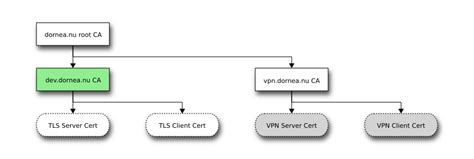 Manage PKI Using OpenSSL Blog Dornea Nu