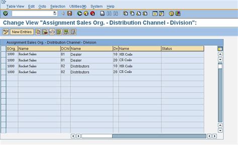Set Up Sales Area In SAP